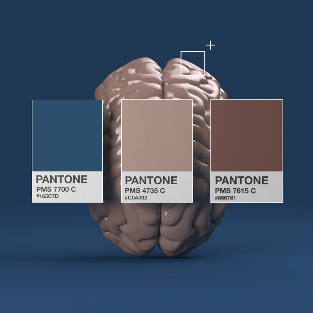 Branding & Identity – Armaghan Rabiei